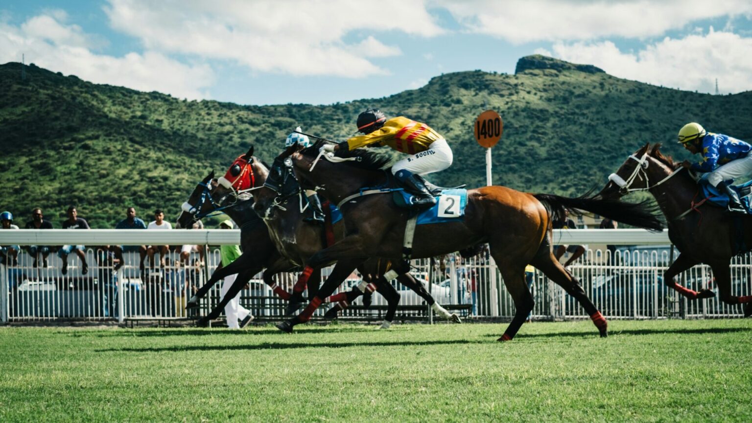 Derby Week handle hits $487m record as 23-1 Golden Tempo wins - The ...